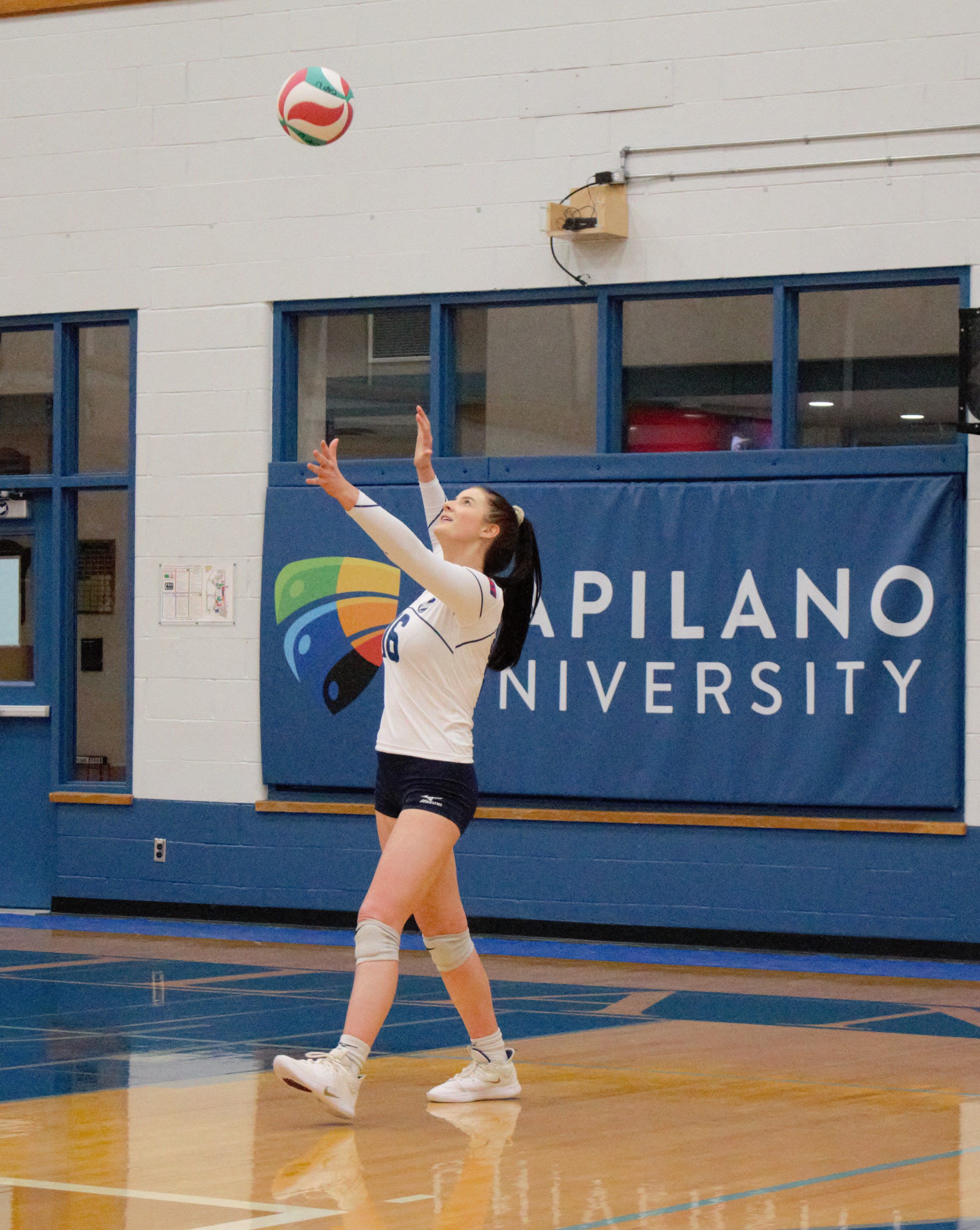 Humeston-serve-Jan11 | Capilano Courier