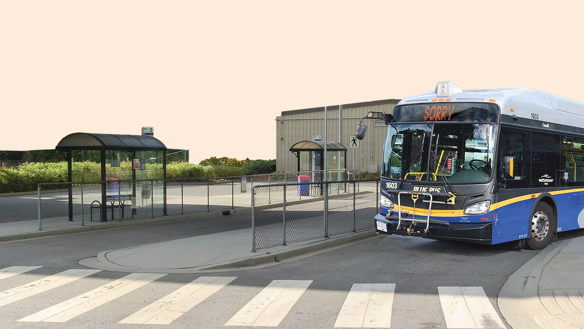 CSU Transit Advocacy Continues Amidst Pandemic | Capilano Courier