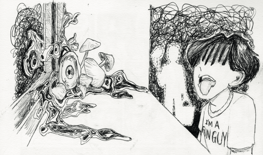 One Night at Seymour Hall | Capilano Courier